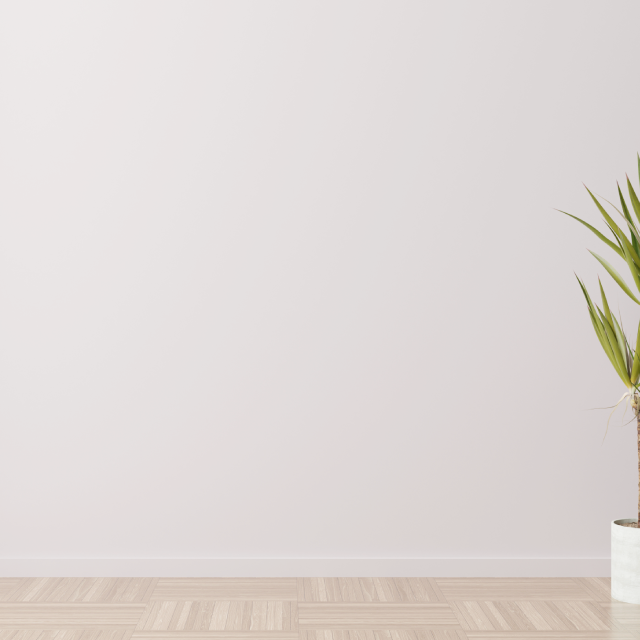 Anti Viral Wall Paint – Star Virus Shield by StarShield – StarShield ...