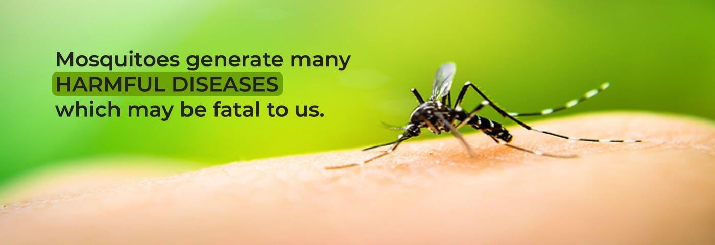 Mosquito Repellent Paint – Star Mosquito Shield by StarShield ...