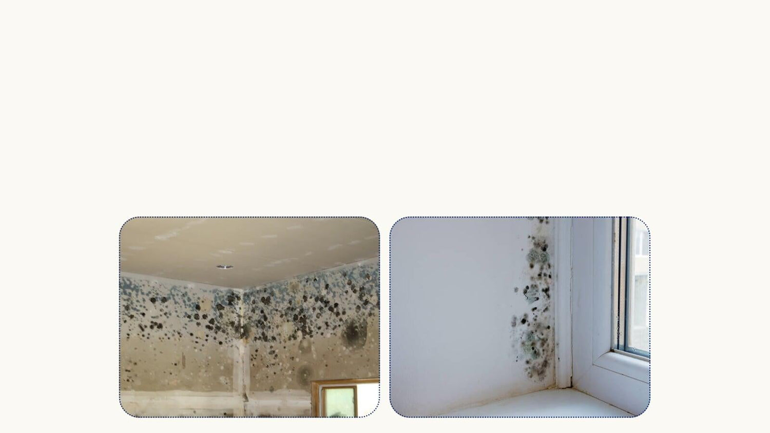 Buy Waterproofing Compound for Concrete – Star Aqua Shield Plus ...